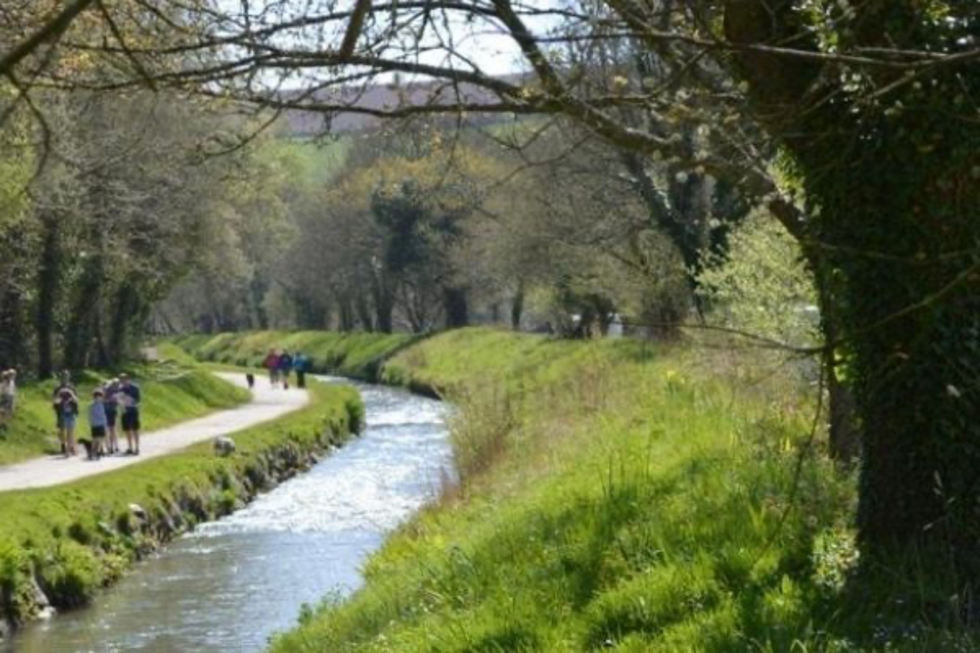 7 Wonderful Woodland Walks in Cornwall | The Cornwall Hotel and Spa